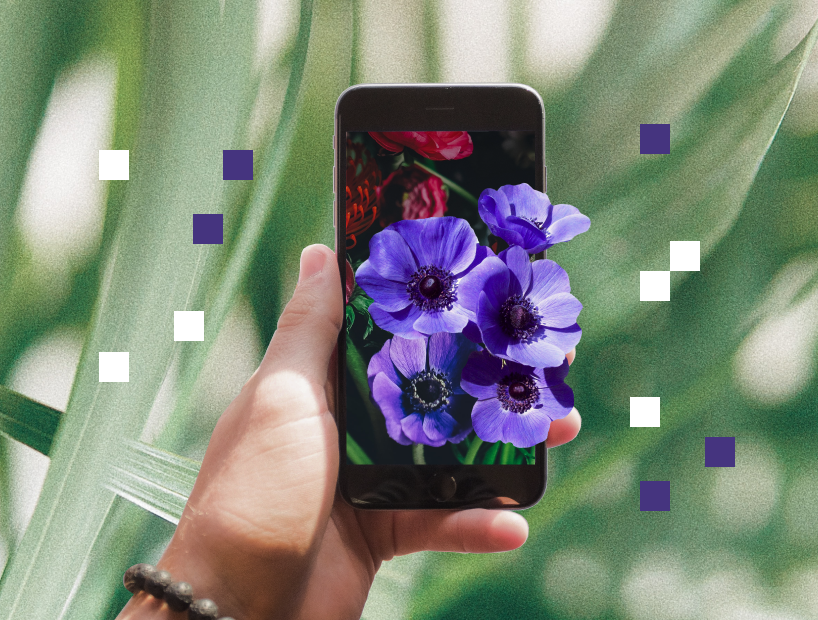 Best Examples of Mobile Website Design | Boxmode